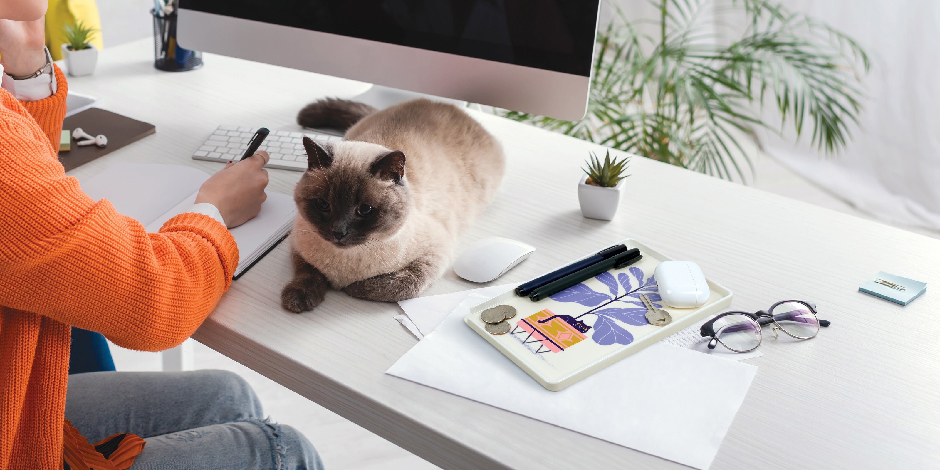 Gifts for Cat Lovers – Genuine Fred