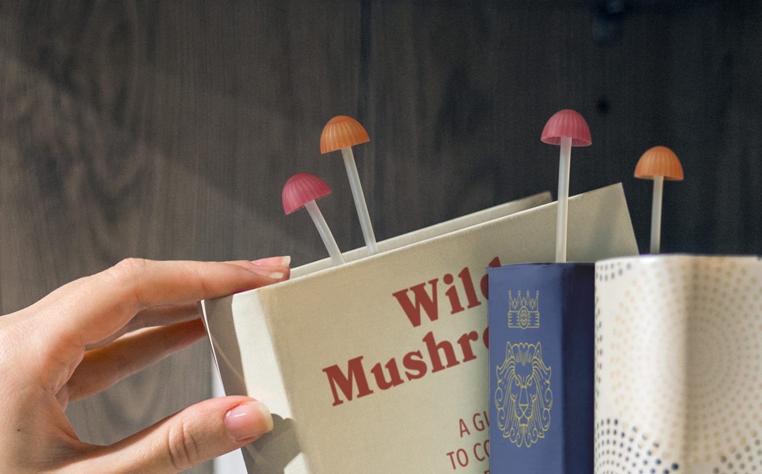 Fred - Fun & Whimsical Products - Official Site - GenuineFred.com ...