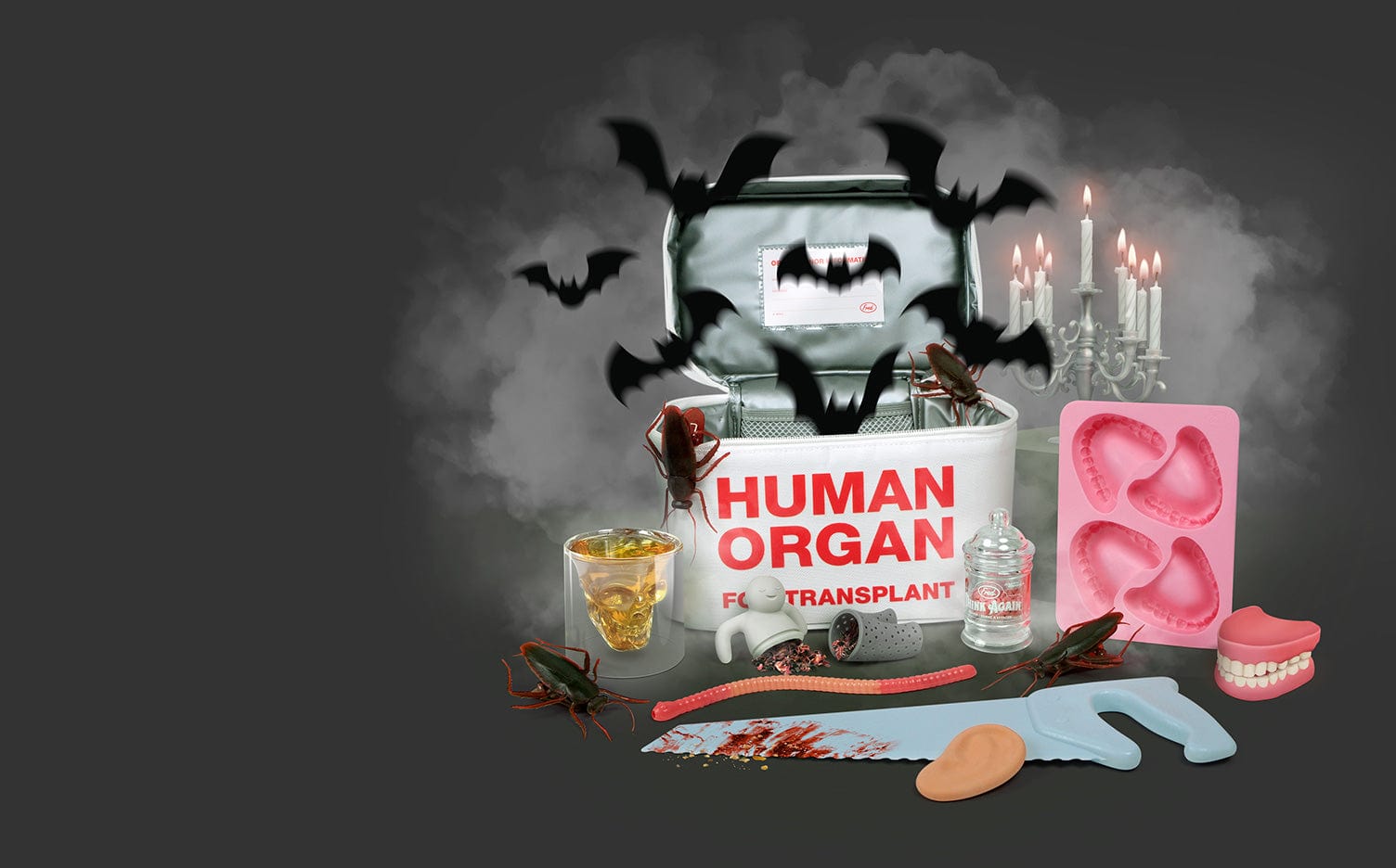 Fred - Fun & Whimsical Products - Official Site - GenuineFred.com ...