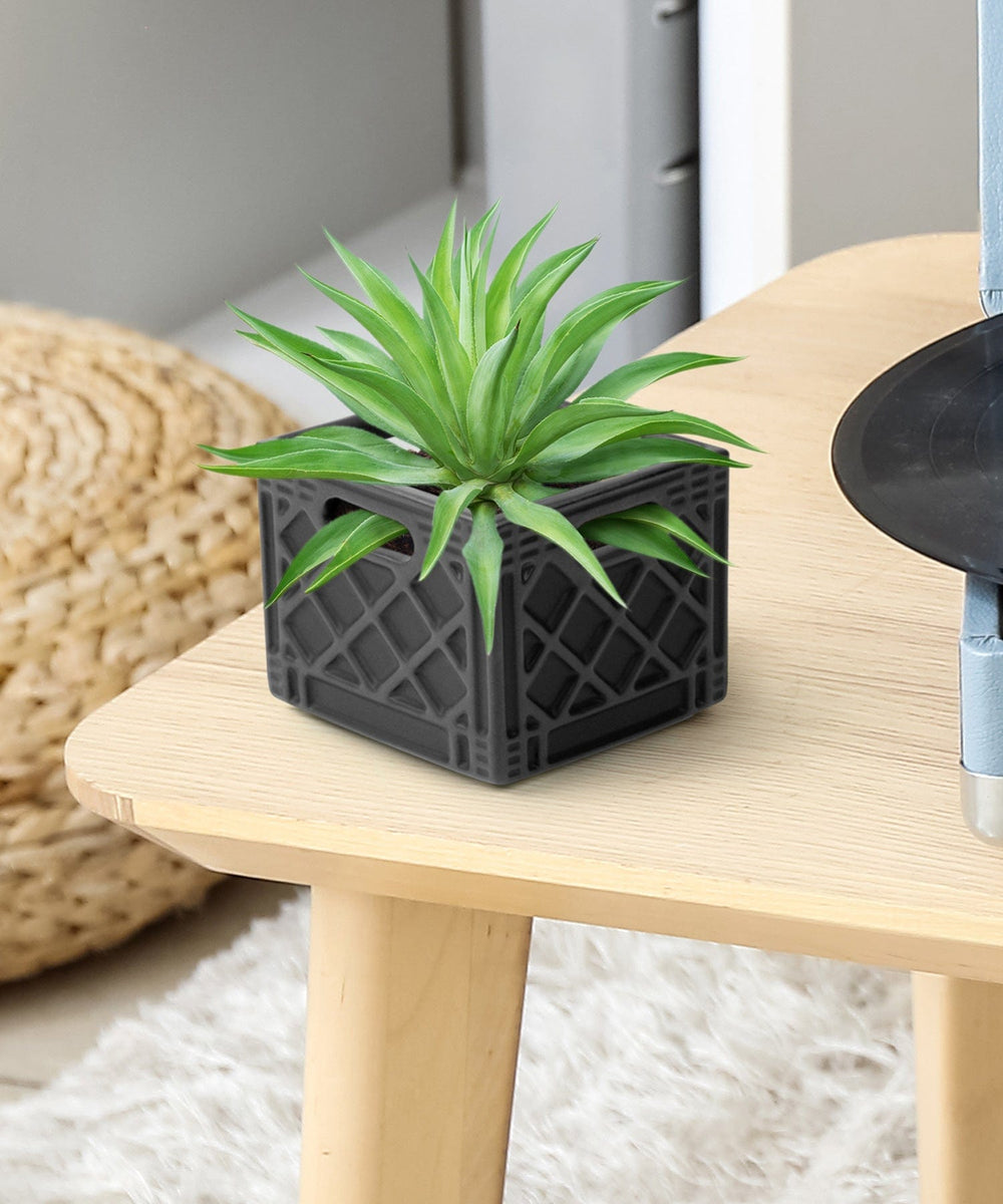 Fred - Fun & Whimsical Products - Official Site - GenuineFred.com