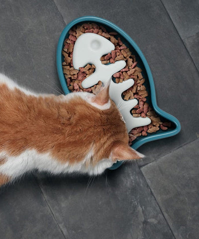 Fred - Fun & Whimsical Products - Official Site - GenuineFred.com