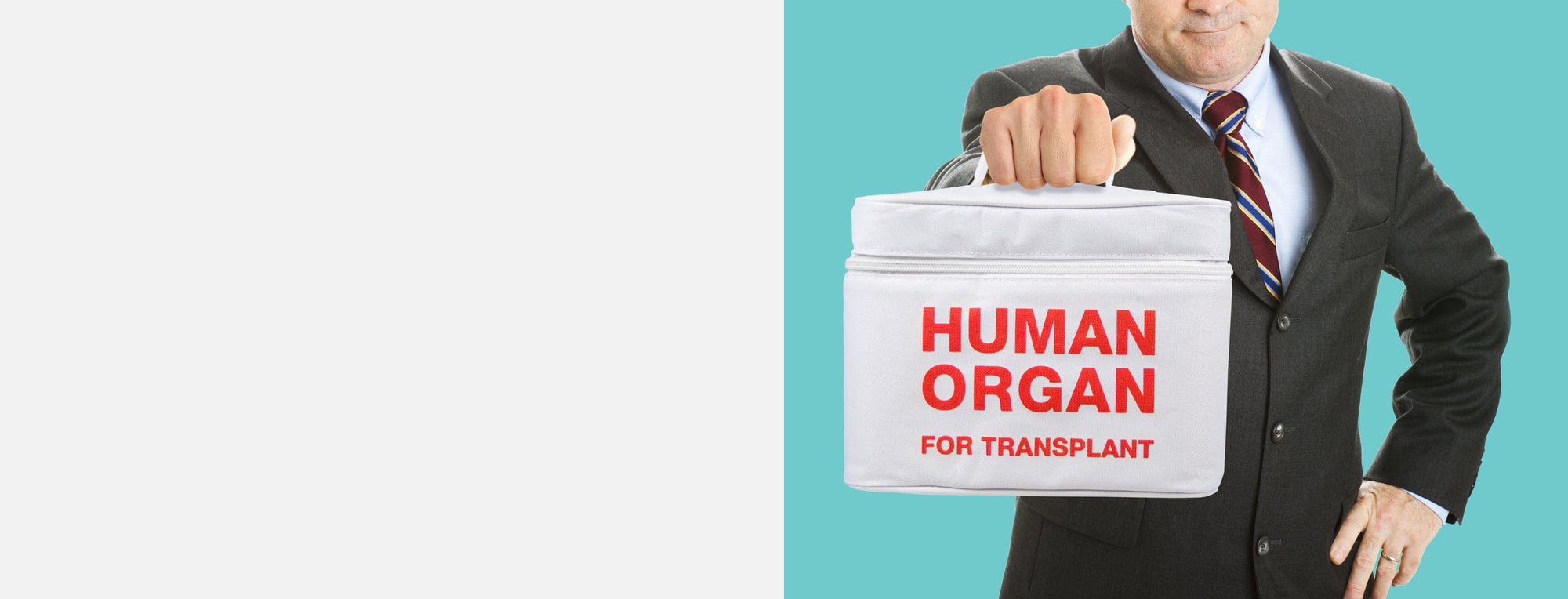 Fred - Fun & Whimsical Products - Official Site - GenuineFred.com ...