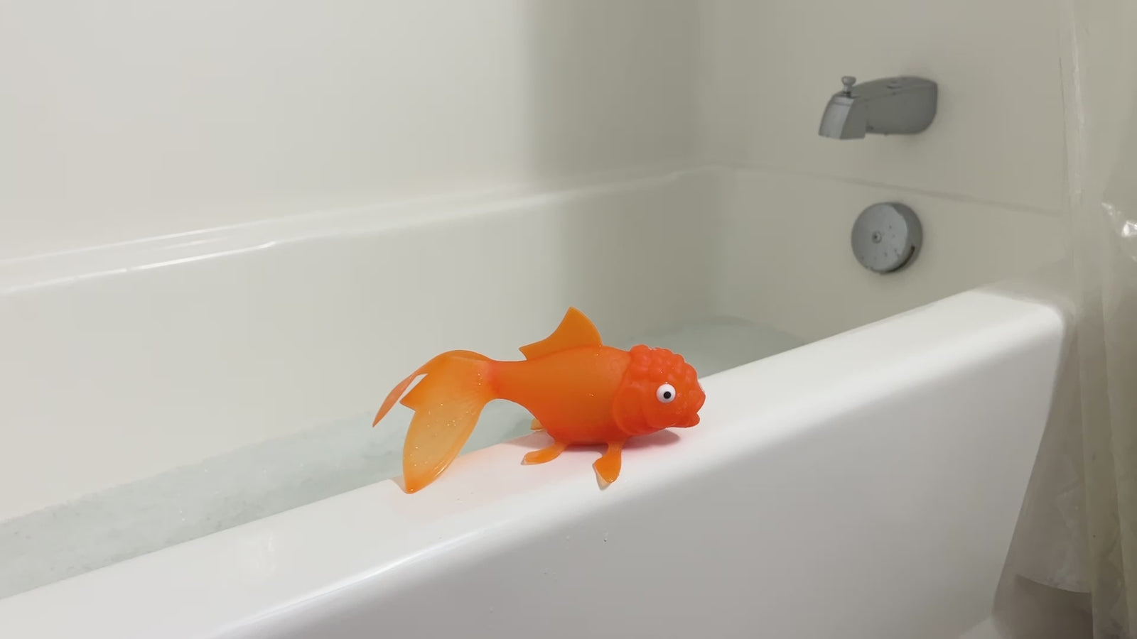 KOI TOY